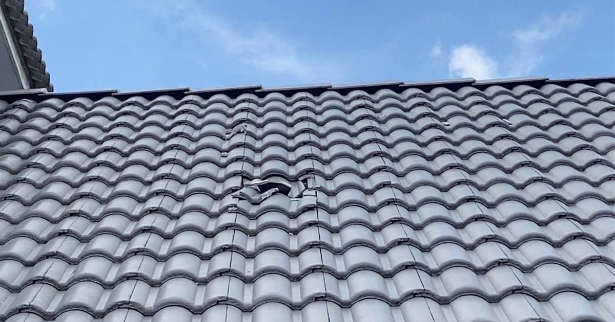 Panduan Lengkap Penyelenggaraan Bumbung Rumah – Bina Sifu